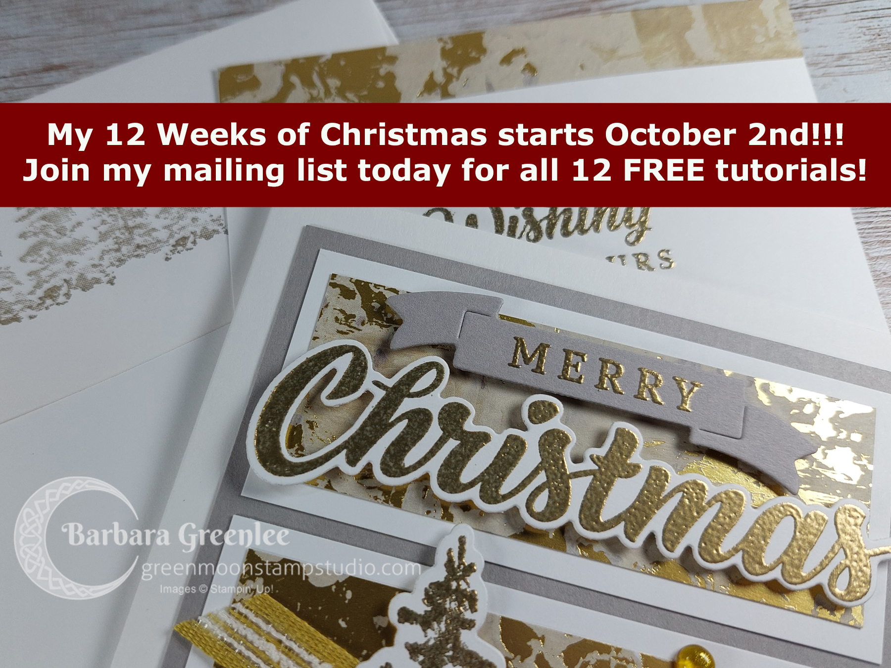 12 Weeks of Christmas 2024 - Green Moon Stamp Studio