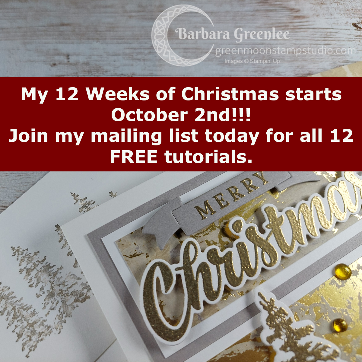 12 Weeks of Christmas 2024 - Green Moon Stamp Studio